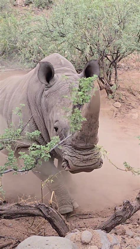 Top Best ZERO Input Delay Skin Fcshorts Fcshorts