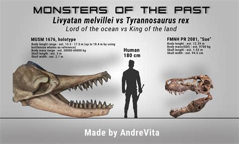 Livyatan Teeth Size