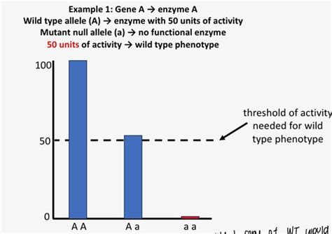 Bio 304 Exam 2 Flashcards Quizlet
