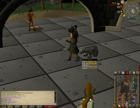 Callisto Cub On 17kc D 2007scape
