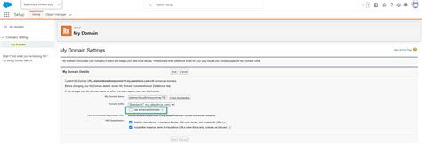 Salesforce Enhanced Domains Requirement Elements
