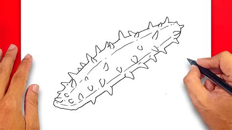 How To Draw Sea Cucumber Easy YouTube