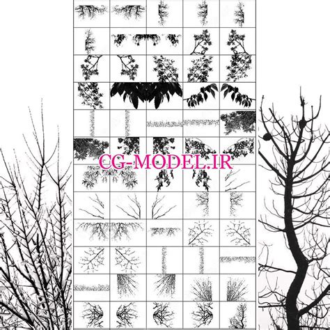 براش شاخه درخت براش شاخه درخت برای فتوشاپ سی جی مدل