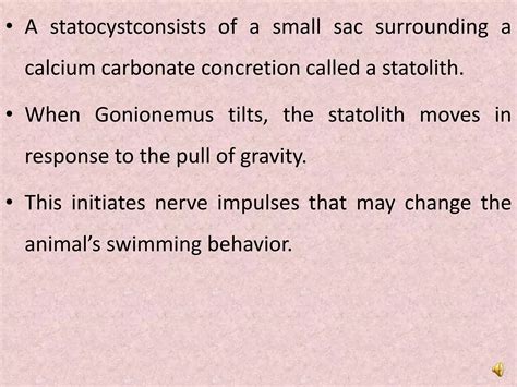 13 Class Hydrozoa With Clear Explanation Only On Slide Share Free Pptx