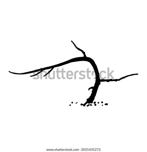 Naked Tree Silhouette Hand Drawn Isolated Stock Vector Royalty Free Shutterstock