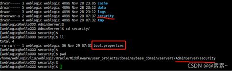 Linux下安装weblogic、创建域以及项目部署distribute Initializing Csdn博客