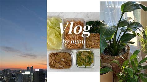 Vlog 일상 브이로그 자취생 집밥 요리 밑반찬 만들기 로제 파스타 비빔밥 귀여운 강아지 Youtube