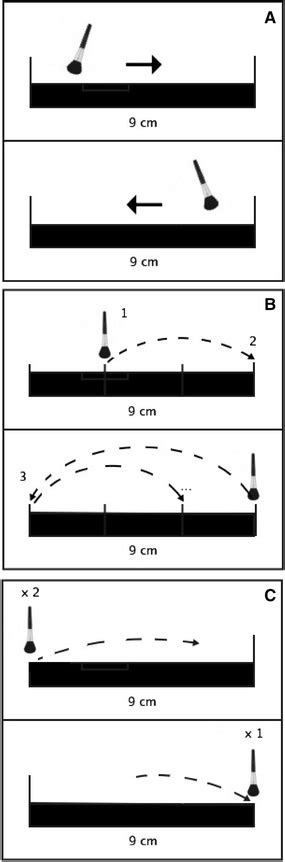 Schematic Representation Of The Four Types Of Tactile Stimulation