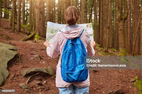 청바지 파란색 배낭 장미 재킷을 입고 조랑말 꼬리를 가진 날씬한 여행자의 뒷모습 지도를 보고 길을 잃지 않으려고 노력하며 녹색 키가 큰 나무 주변의 숲에서 시간을 보내고