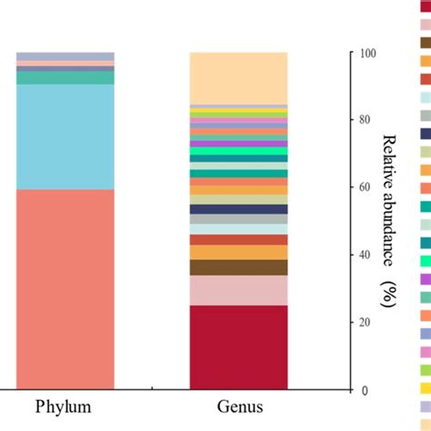 Gut Microbiota Composition At The Level Of Phylum And Genus Download Scientific Diagram