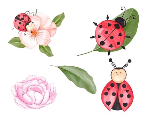 Premium Vector Watercolor Ladybug Clipart Set With Leaves Cute