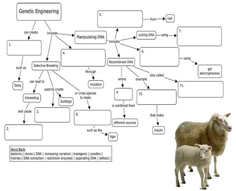 Genetic Engineering Concept Map