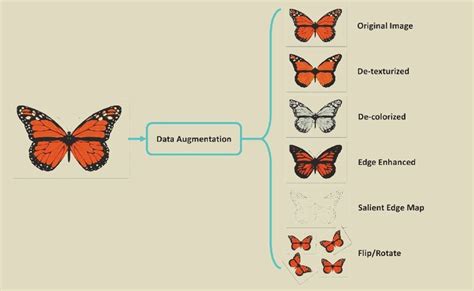 Deeplearning Cnn Computervision Dataaugmentation Machinelearning Ai Mohammad Ezzeddine