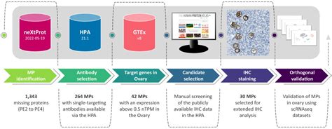 Spatial Proteomics For Further Exploration Of Missing Proteins A Case