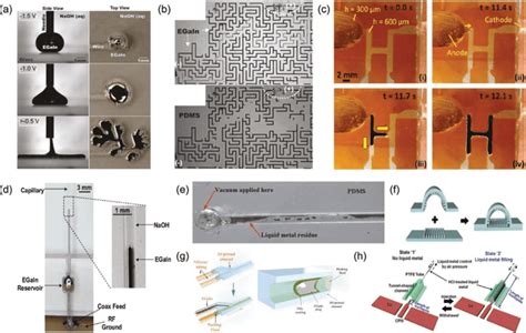 Reconfigurable Electronics