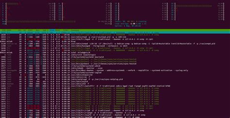 Vyos 124 Bgp Memory Leak Bugs Vyos Forums