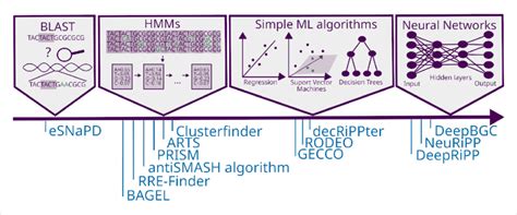 concepts of algorithms in order of complexity and examples of genome
