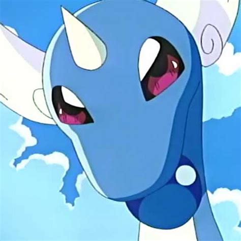 Poké Draco Youtube