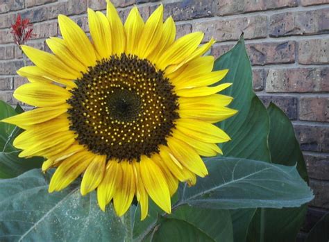 Lee Waples Obituary 1957 2016 Wichita Ks Wichita Eagle