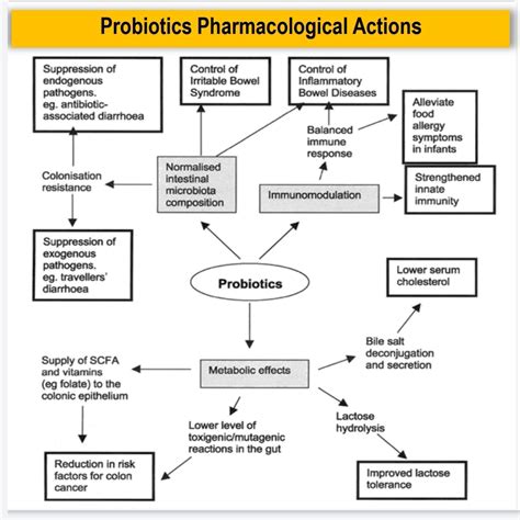 Probiotic 100b 30 Sachets Nontoxic Wellness Shop
