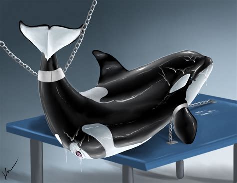 Rule 34 Anatomically Correct Anatomically Correct Genitalia