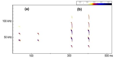 Geographic Variation In Echolocation Call Structure Gray Sac Winged Download Scientific