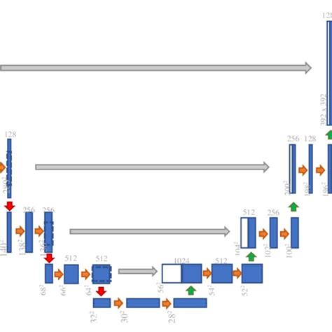 u net architecture a deep learning algorithm based upon fully download scientific diagram