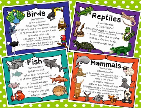 Animal Classification And Habitats Unit Animal Classification Animal