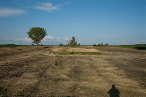 Elevation Of Richland County Nd Usa Topographic Map Altitude Map