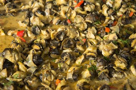 「rapane」の写真素材 29件の無料イラスト画像 Adobe Stock