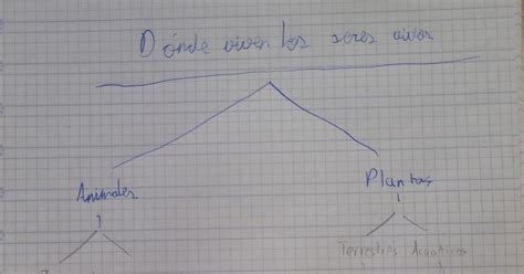 Visual Thinking 3º Estos Son Esquemas Visuales Que Realizamos Con La Clase De Tercero