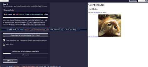 I Do Not Understand What I Have Done Wrong In Step 12 Html Css The Freecodecamp Forum