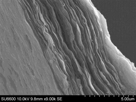 Shows Fe Sem Image Recorded From The Cross Section Of The Multilayer Go Download Scientific