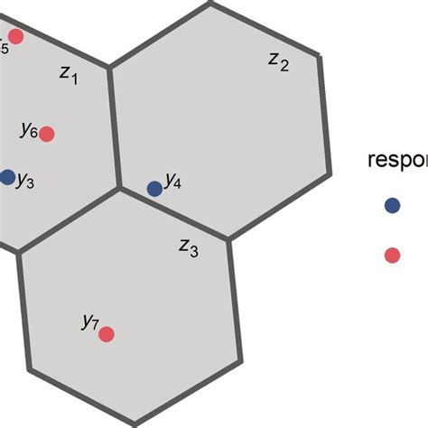 An Example Illustration Of The Relationship Between Forest Inventory