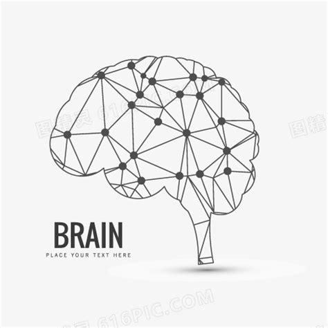 矢量大脑图片免费下载 PNG素材 编号1pkiqqomz 图精灵