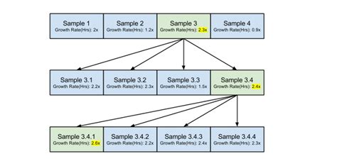 Artificial Selection Algae The Futures Next Energy Source