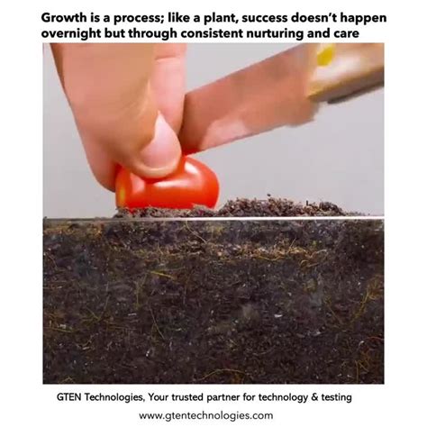 Softwaretesting Testing Testers Testautomation Gten Technologies