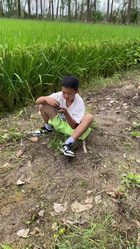 小时候我在村子里玩泥巴可是高手 蚊子守村人 蚊子守村人 哔哩哔哩视频