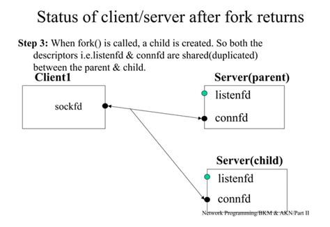 Socket Programming Using C Pdf Operating Systems Computer Software And Applications