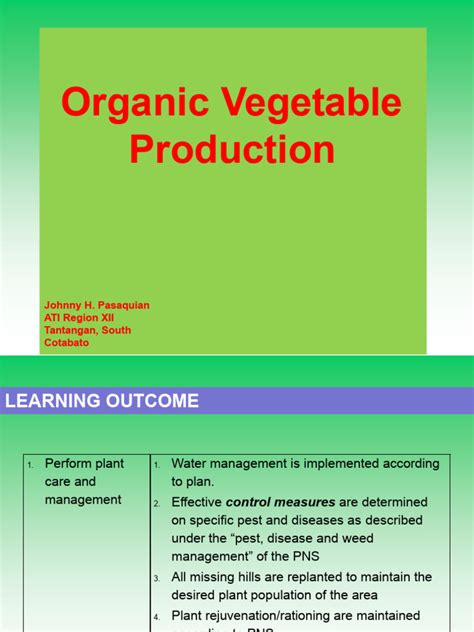 Vegetable Soa Pdf Sowing Crop Rotation