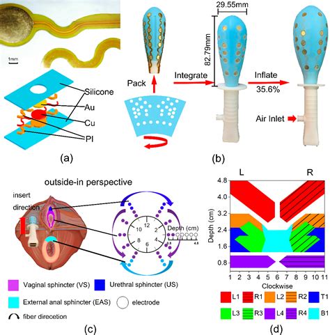 Figure From Multifunctional Evaluation Technology For Diagnosing Malfunctions Of Regional