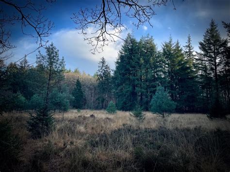 Woensdagpost Rust Joep Van Leeuwen