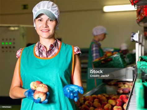 창고에서 상자를 분류하는 동안 복숭아를 들고 균일 한 젊은 여성 과일의 품질을 확인 건강한 생활방식에 대한 스톡 사진 및 기타 이미지 건강한 생활방식 건강한 식생활