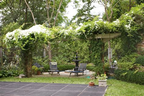 Pergola Plants Guide Shade And Enhance Your Outdoor Space