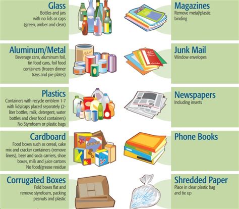 Science With Miss Wolford