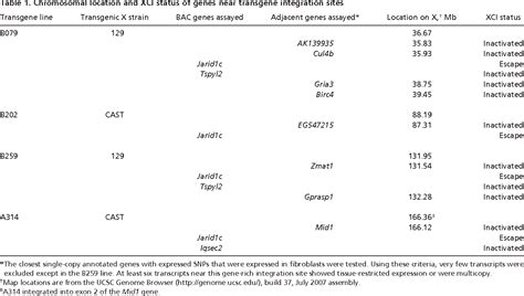 Table 1 From Escape From X Chromosome Inactivation Is An Intrinsic
