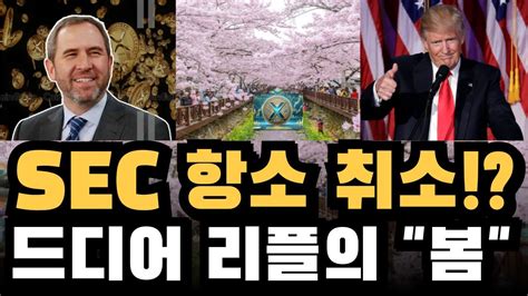 리플코인 미국sec 항소 취소 드디어 찾아오는 리플의 봄 리플 리플코인 리플전망 리플호재 리플목표가 Youtube
