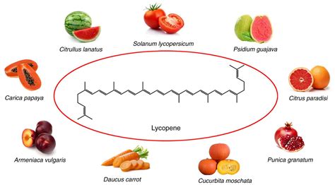 Lycopene As A Potential Anticancer Agent Current Evidence On Synergism Drug Delivery Systems