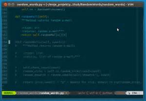 Vim Jako Python IDE
