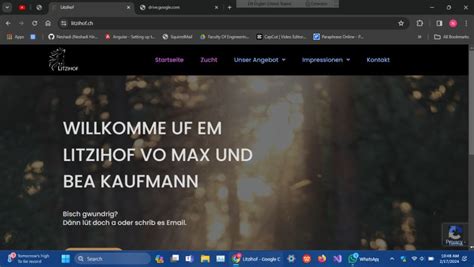 Neshadi Ranaweera On Linkedin 🖥️ Ive Just Launched A Beautifully